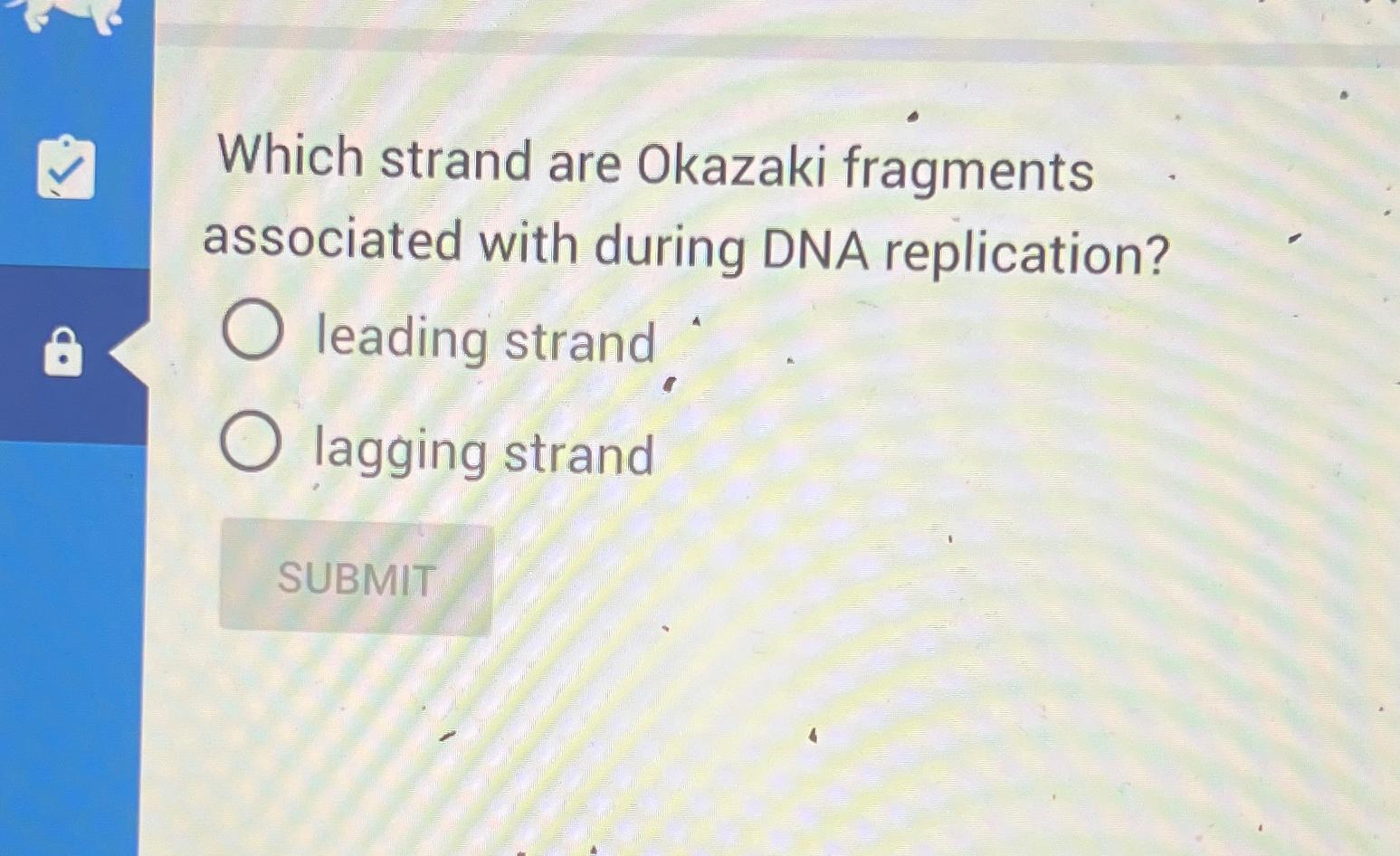 Solved Which strand are Okazaki fragments associated with | Chegg.com