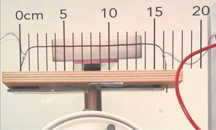 Solved Use the ruler tool to measure the length of the | Chegg.com