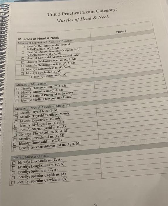 Solved Unit 2 Practical Exam Category: Skuilt Fontimelles of | Chegg.com