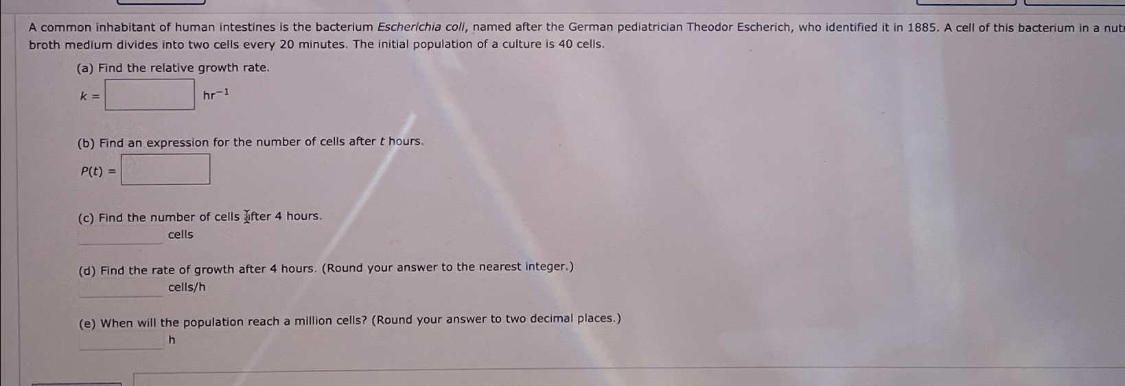 Solved broth medium divides into two cells every 20 | Chegg.com