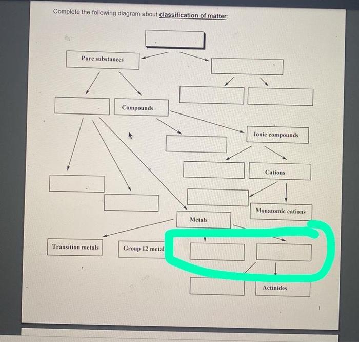 Solved Complete the following diagram about classification | Chegg.com