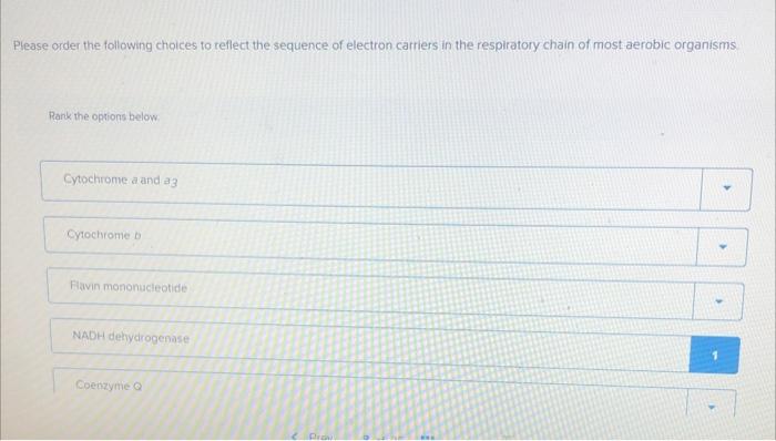 Solved Please order the following choices to reflect the | Chegg.com