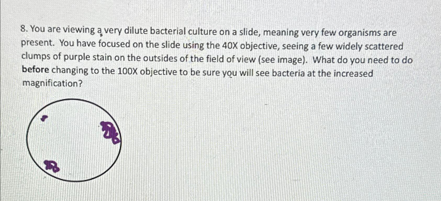 Solved You are viewing ą very dilute bacterial culture on a | Chegg.com