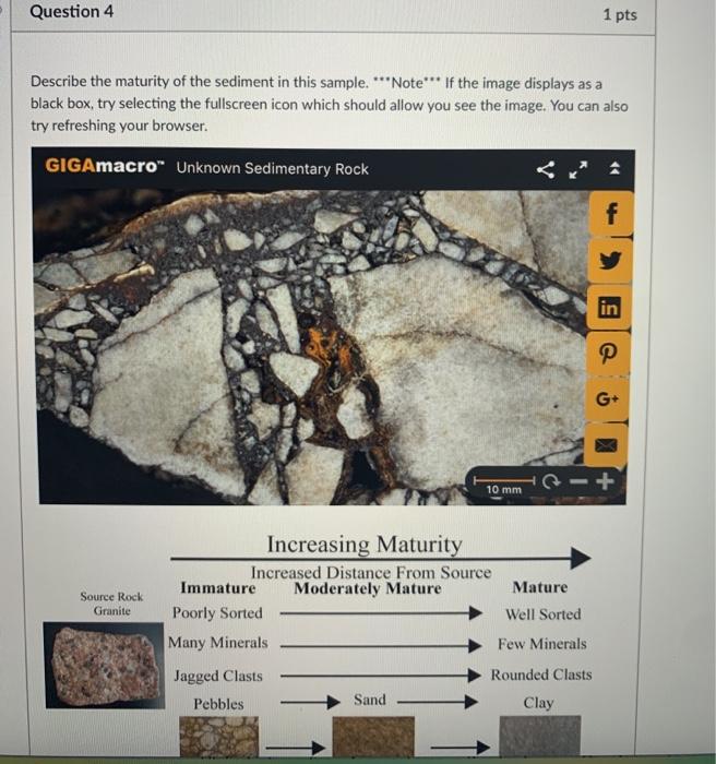 Solved Question 1 1 pts Describe the maturity of the | Chegg.com