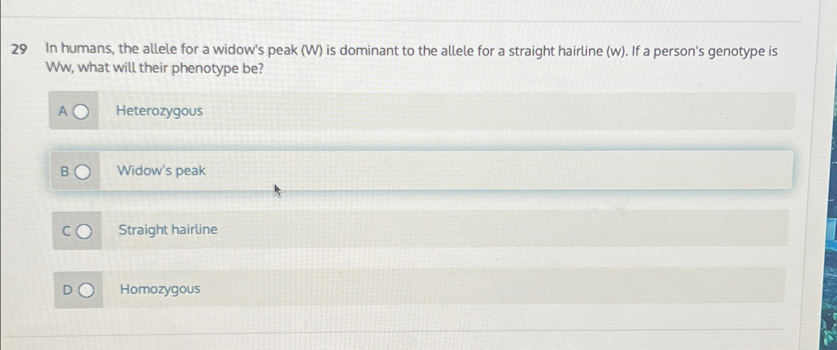 Solved 29 ﻿In humans, the allele for a widow's peak ( W ) | Chegg.com