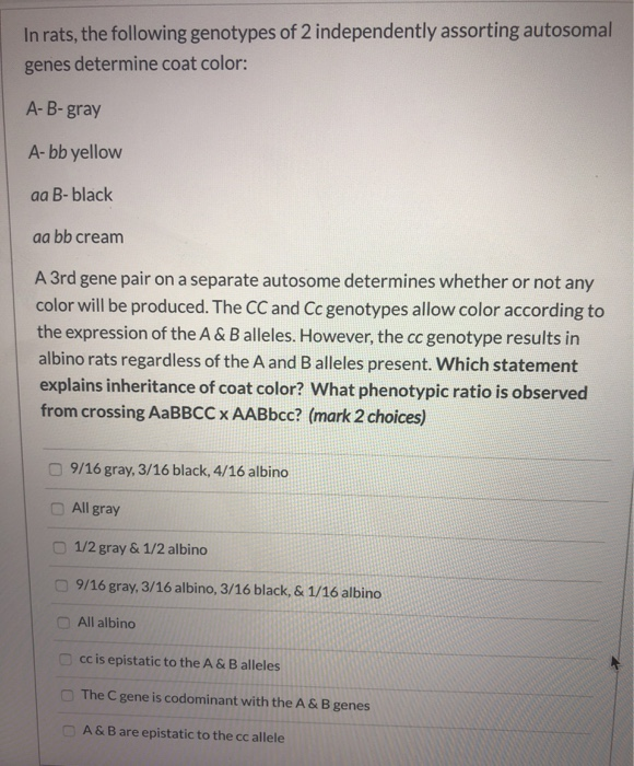 Solved In rats, the following genotypes of 2 independently | Chegg.com