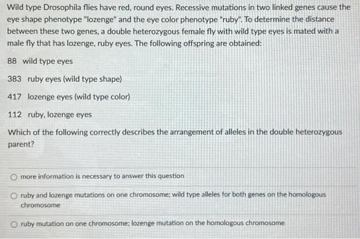 Solved Wild Type Drosophila Flies Have Red Round Eyes 2151