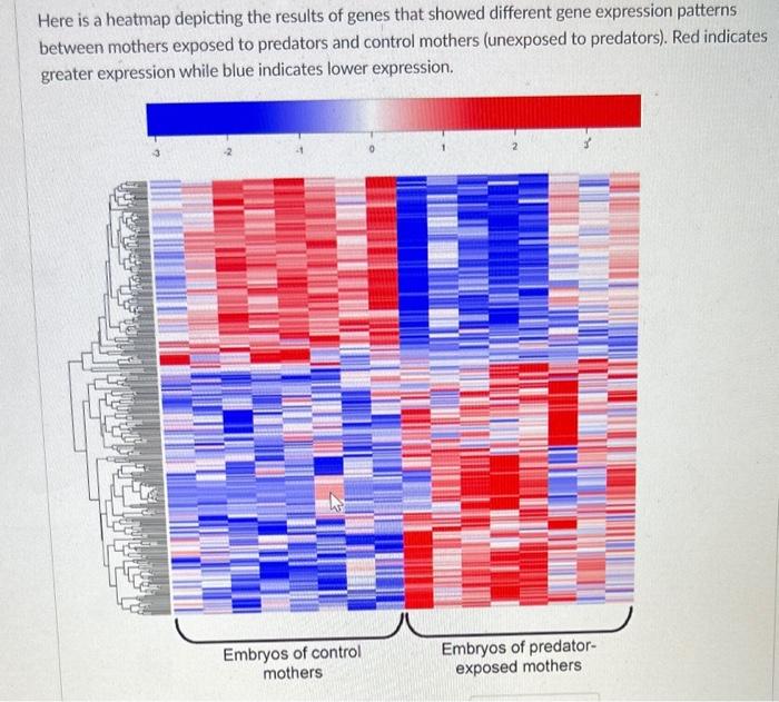 Here is a heatmap depicting the results of genes that | Chegg.com