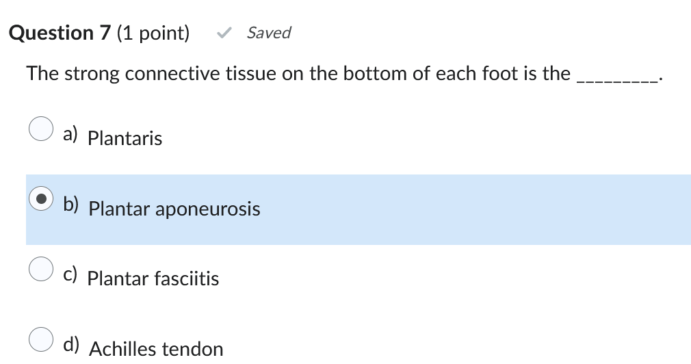 Solved Question 7 (1 ﻿point)The strong connective tissue on | Chegg.com
