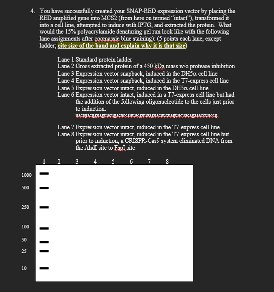 Solved 4. ﻿You have successfully created your SNAP-RED | Chegg.com