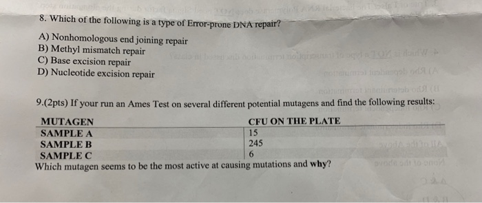 Solved 8. Which of the following is a type of Error-prone | Chegg.com