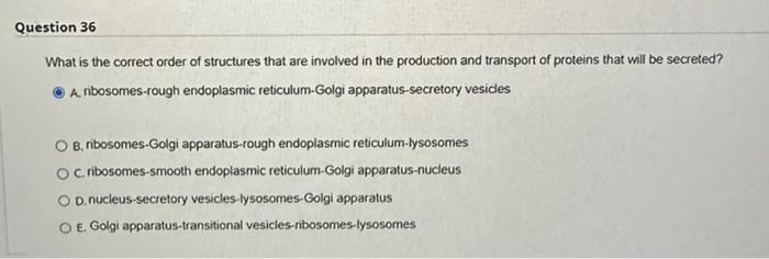 Solved Some bacteria form endospores in response to ... A. | Chegg.com