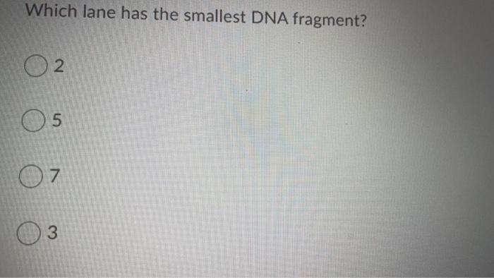 Solved 1.which lane has the largest DNA fragment? 2.Which | Chegg.com