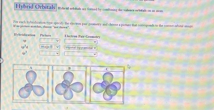 Solved Hybrid Orbitals Hybrid orbitals are formed by | Chegg.com