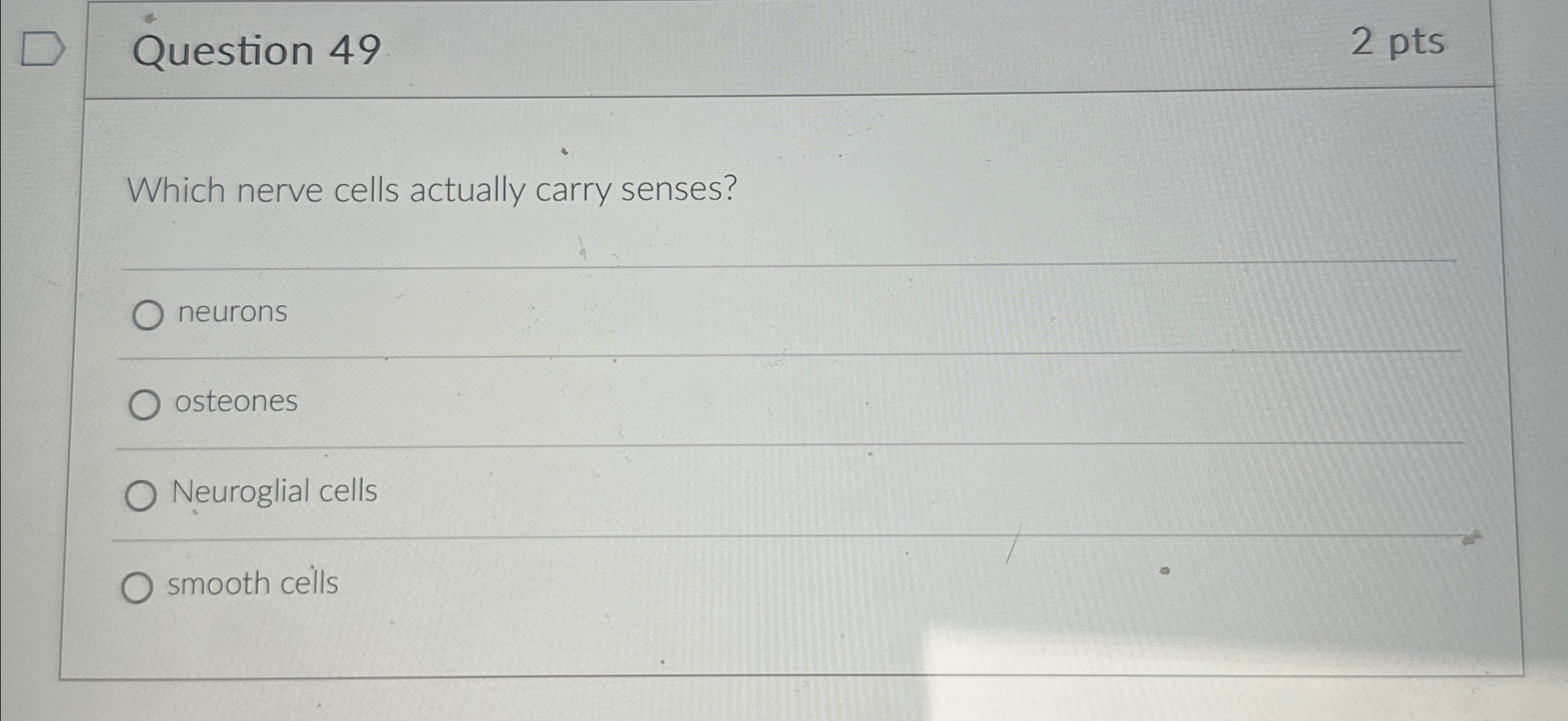 Solved Question 492 ptsWhich nerve cells actually carry | Chegg.com Solved Question 492 ptsWhich nerve cells actually carry | Chegg.com