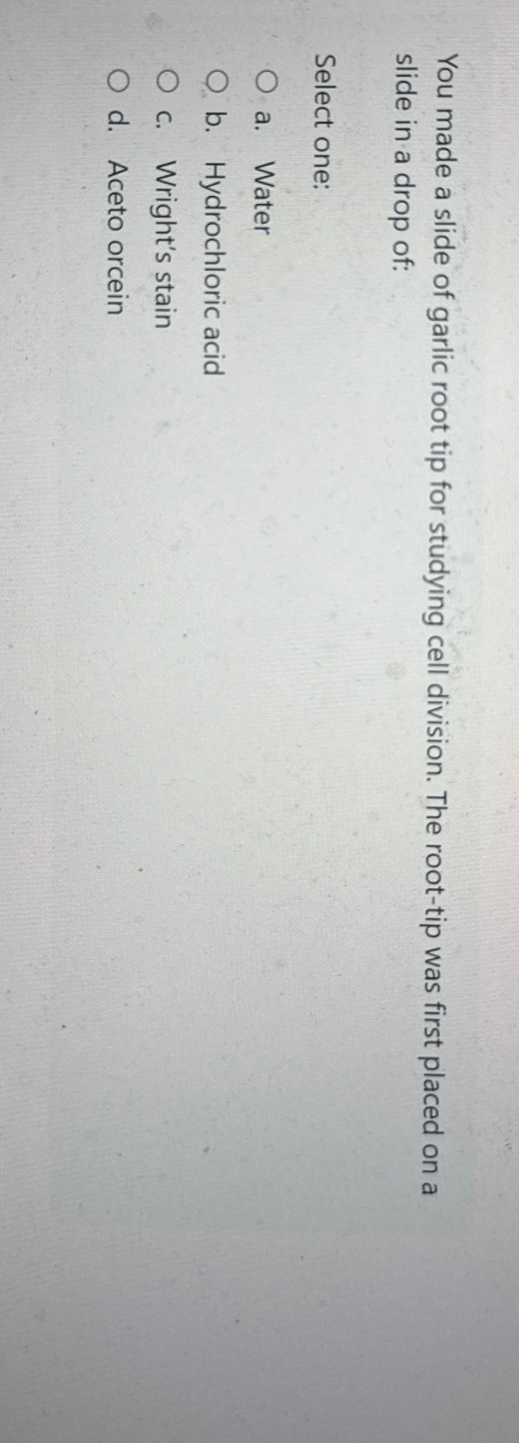 Solved You made a slide of garlic root tip for studying cell | Chegg.com