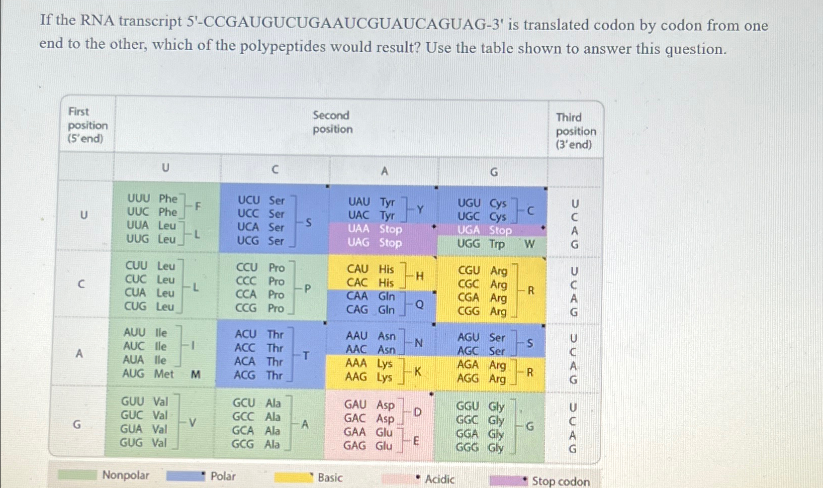Solved If the RNA transcript 5'-CCGAUGUCUGAAUCGUAUCAGUAG-3' | Chegg.com