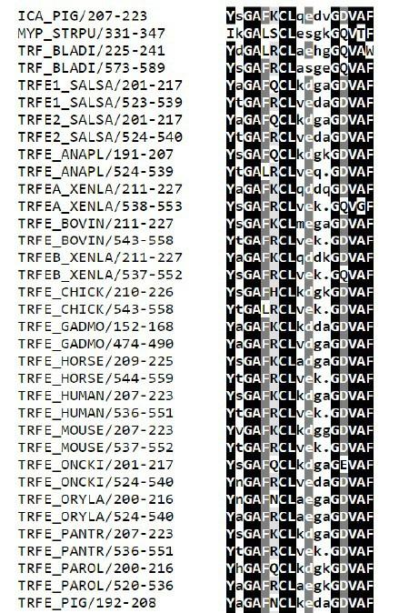ICA_PIG/207-223 MYP_STRPU/331-347 TRF_BLADI/225-241 | Chegg.com