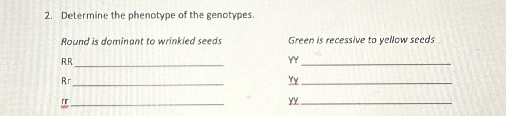 Solved Determine the phenotype of the genotypes.Round is | Chegg.com