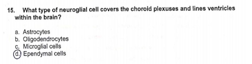 Solved What type of neuroglial cell covers the choroid | Chegg.com
