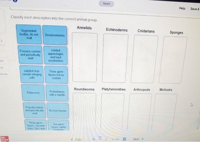 Solved Saved Help Save & Classify each description into the | Chegg.com