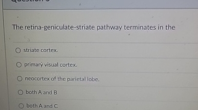 Solved The retina-geniculate-striate pathway terminates in | Chegg.com