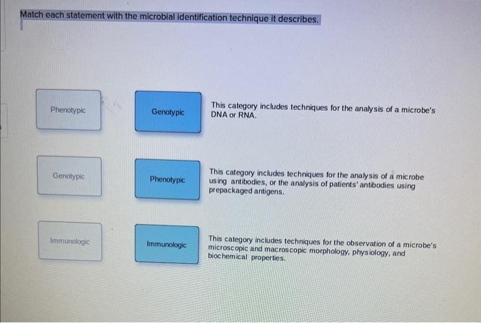 Solved Match each statement with the microbial | Chegg.com