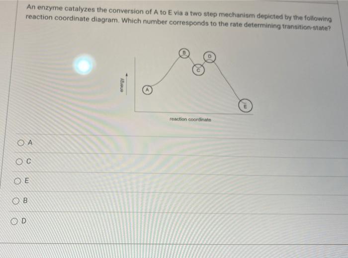 Solved An enzyme catalyzes the conversion of A to E via a | Chegg.com