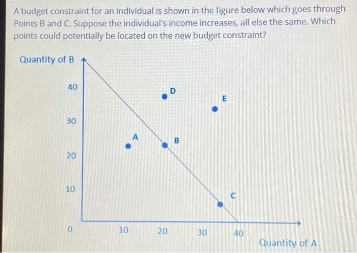 Solved A budget constraint for an individual is shown in the | Chegg.com