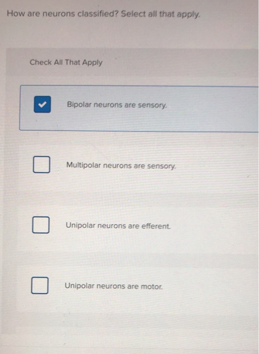 Solved How are neurons classified? Select all that apply. | Chegg.com