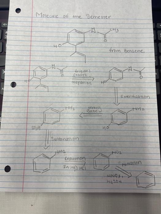 Solved Holecule of the Semester from Benzene SulfonanionWe | Chegg.com