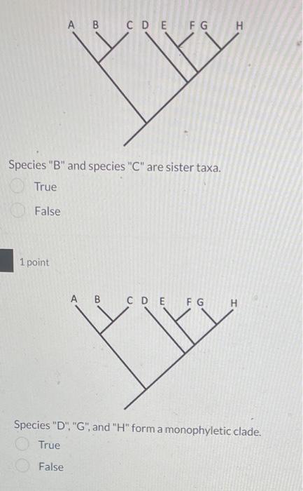 Solved Species "B" and species " C " are sister taxa. True | Chegg.com