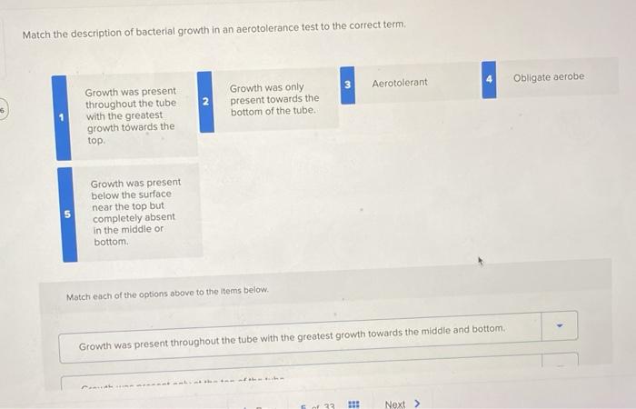Solved Match the description of bacterial growth in an | Chegg.com