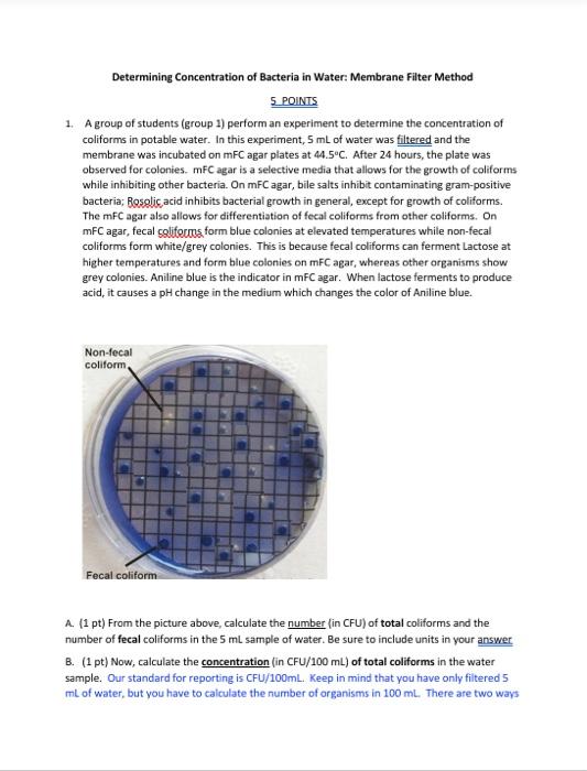 Solved Determining Concentration of Bacteria in Water: | Chegg.com
