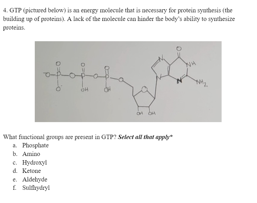 Solved GTP (pictured below) ﻿is an energy molecule that is | Chegg.com