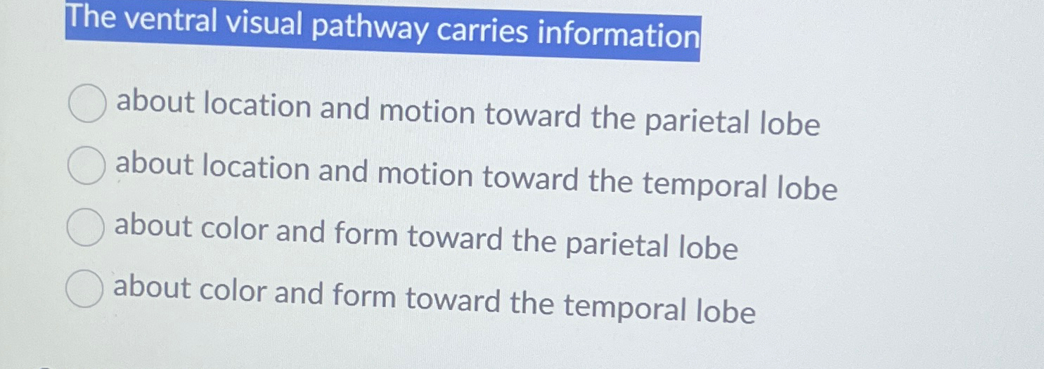 Solved The ventral visual pathway carries informationabout | Chegg.com