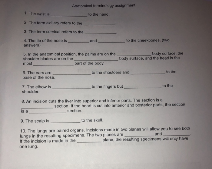Solved Anatomical terminology assignment 1. The wrist is to | Chegg.com