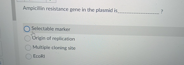 Solved Ampicillin resistance gene in the plasmid is | Chegg.com