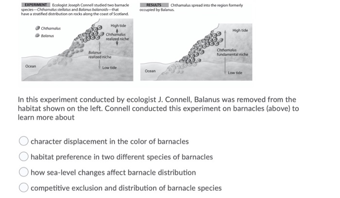 Solved EXPERIMENT Ecologist Joseph Connell studied two | Chegg.com