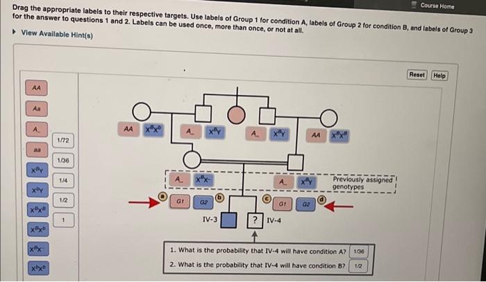 Solved Course Home Drag the appropriate labels to their | Chegg.com