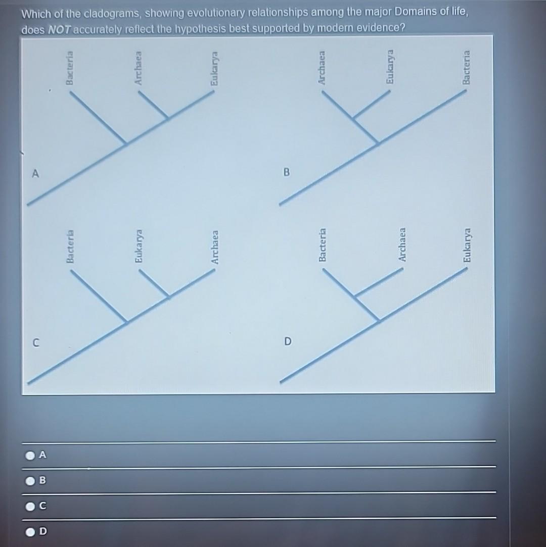 Solved Which of the cladograms, showing evolutionary | Chegg.com Solved Which of the cladograms, showing evolutionary | Chegg.com