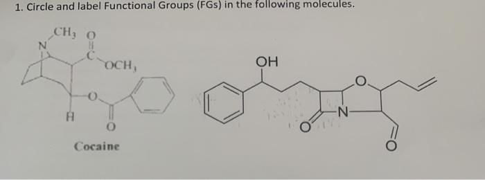 Solved 1. Circle and label Functional Groups (FGs) in the | Chegg.com