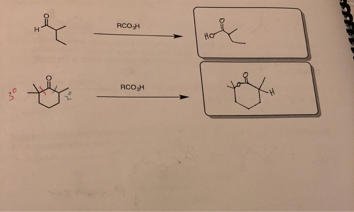 Solved RCOH RCO3H | Chegg.com
