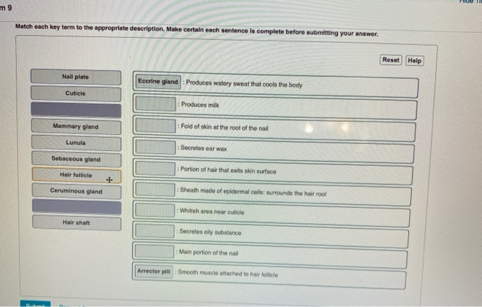 Solved ce m 9 Match each key term to the appropriate | Chegg.com