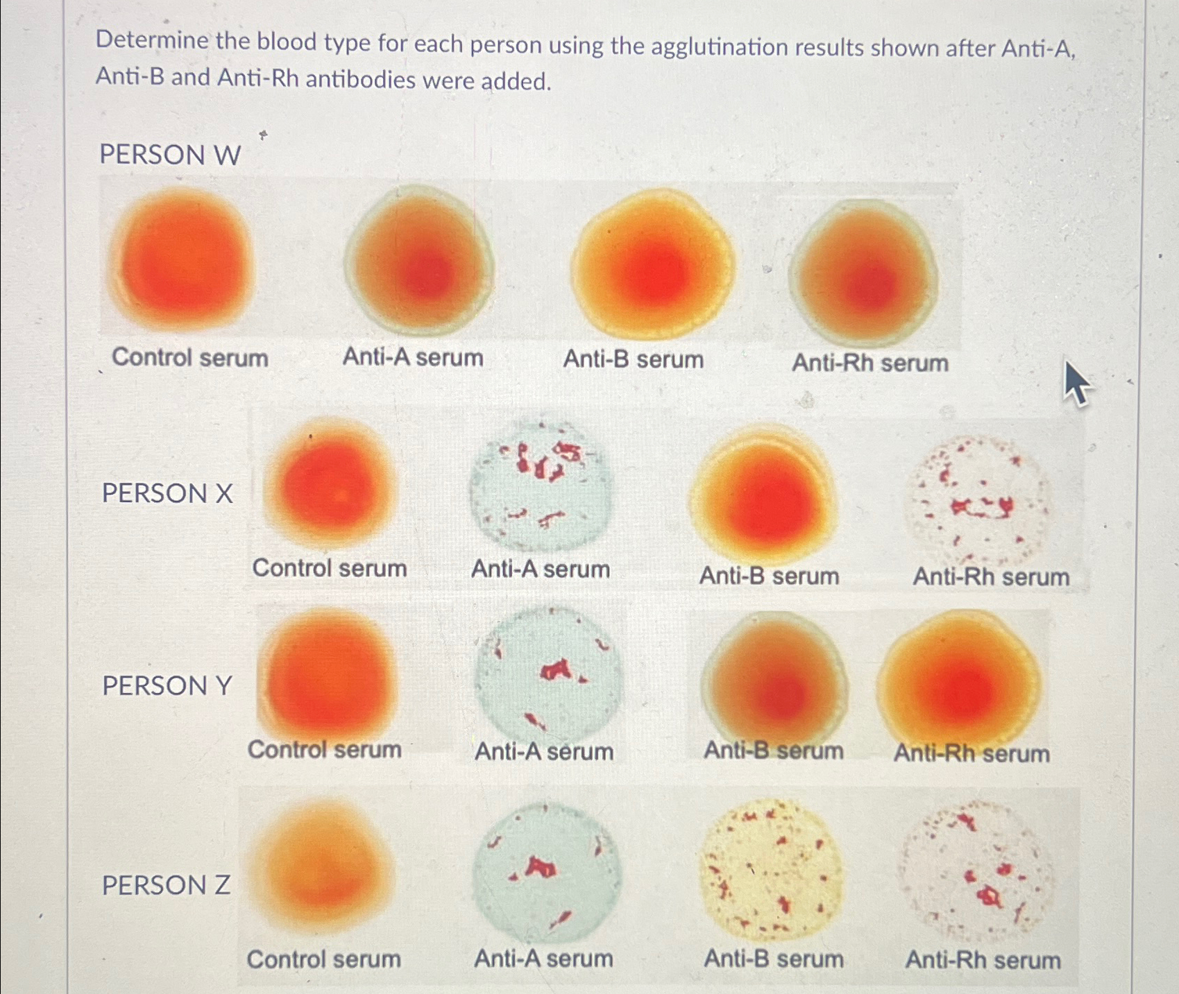 Solved Determine the blood type for each person using the | Chegg.com
