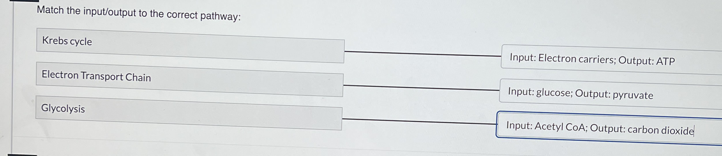 Solved Match the input/output to the correct pathway:Input: | Chegg.com