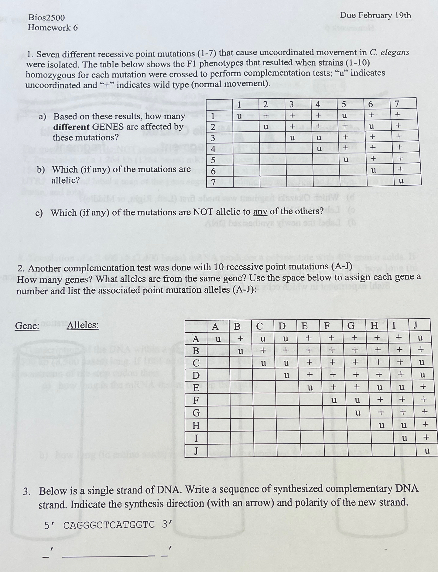 Solved Bios2500Due February 19thHomework 6Seven different | Chegg.com