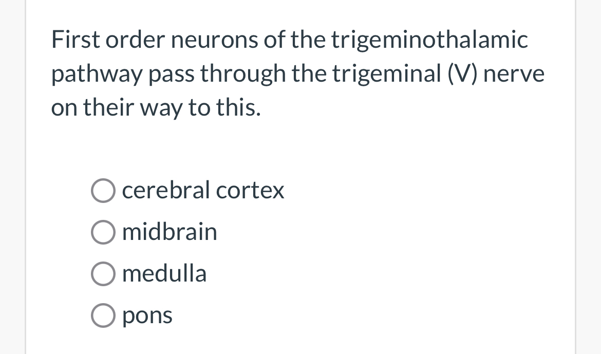 Solved First order neurons of the trigeminothalamic pathway | Chegg.com