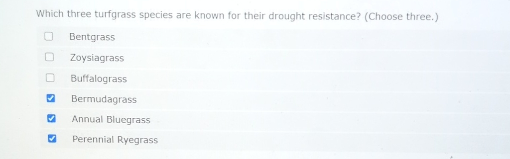 Solved Which three turfgrass species are known for their | Chegg.com