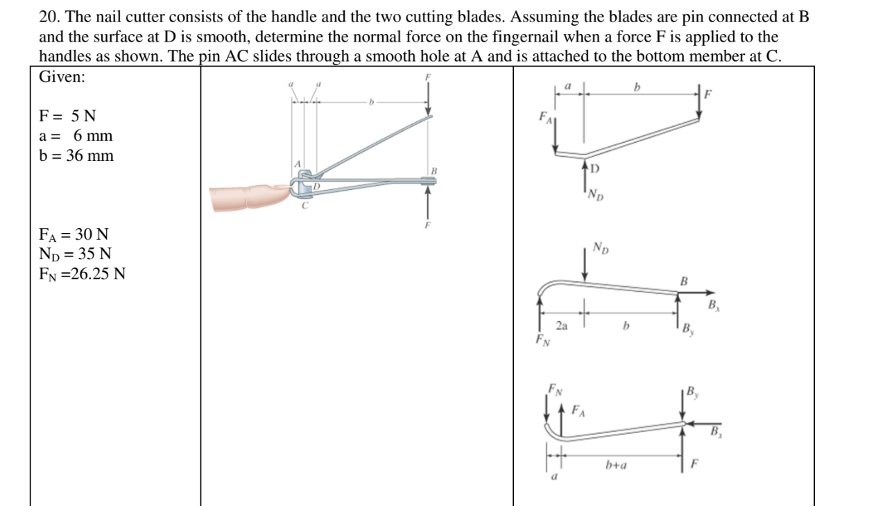 The nail cutter consists of the handle and the two | Chegg.com